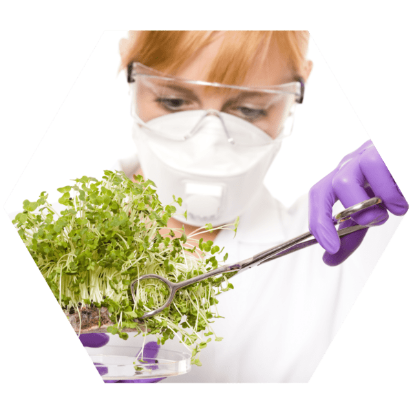 Learning Centre - Cell-Logic - Science of Nutrigenomics